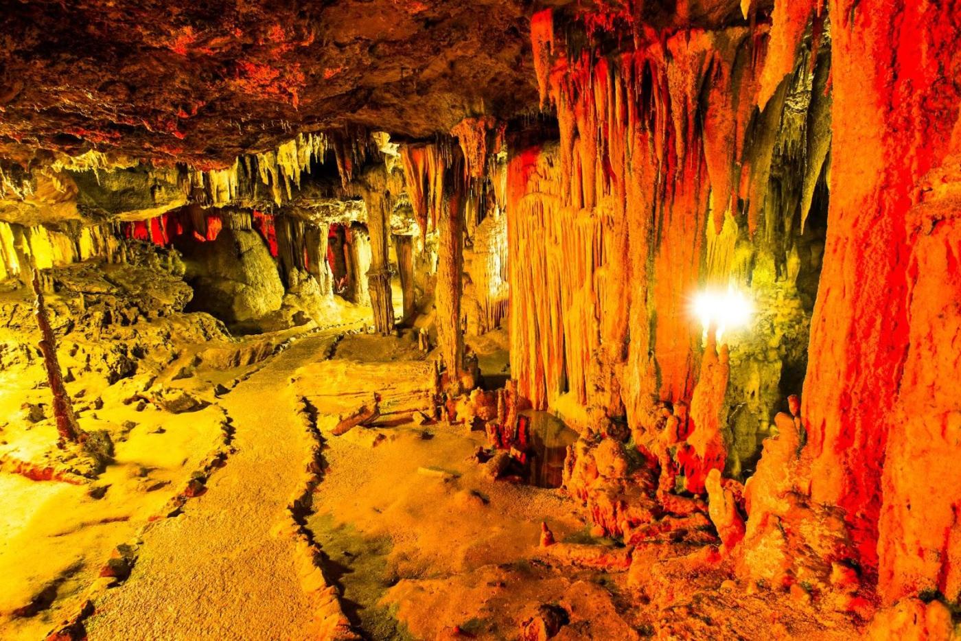 Things to do in Carlsbad Caverns National Park | National Park Adventures